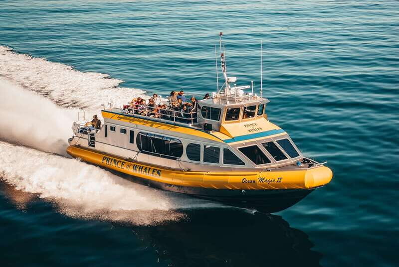 Telegraph Cove: Whale Watching Adventure with Free Photos - Starting Point and Logistics