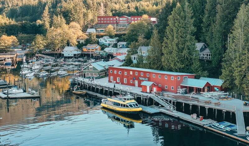 Telegraph Cove: Whale Watching Adventure with Free Photos - The Experience on Board
