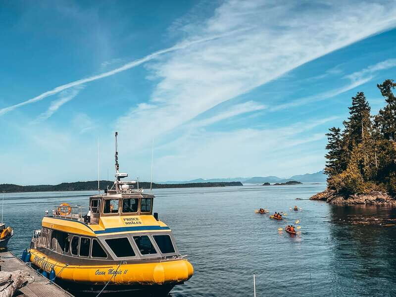 Telegraph Cove: Whale Watching Adventure with Free Photos - The Cost and Value