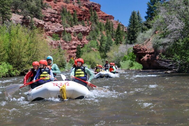 Telluride 1 Day Rafting Trip with Lunch - San Miguel River - An In-Depth Look at the San Miguel River Rafting Trip