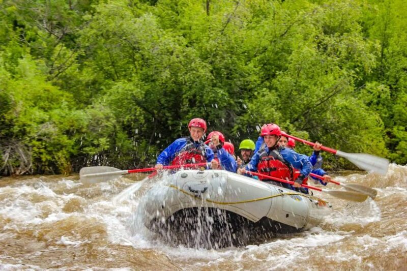 Telluride 1 Day Rafting Trip with Lunch - San Miguel River - Final Thoughts: Who Will Love This Experience?