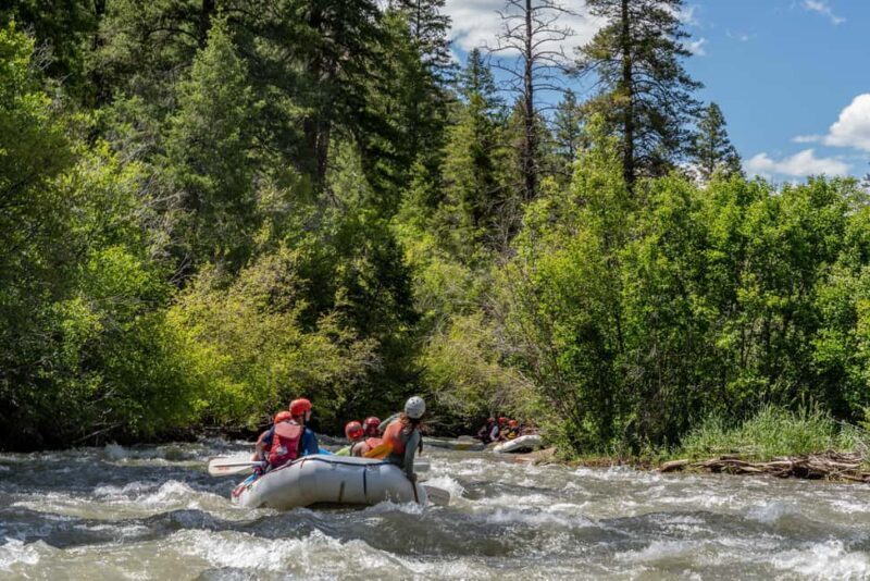 Telluride 1 Day Rafting Trip with Lunch - San Miguel River - A Closer Look at the San Miguel River Rafting Experience