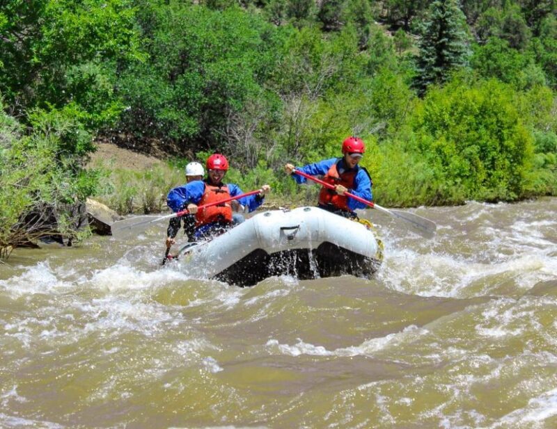 Telluride Afternoon Half Day Rafting Trip - San Miguel River - What to Expect During the Trip