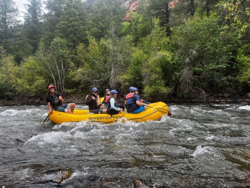 Telluride: Half-Day Rafting on the San Miguel River - Why This Tour Is a Good Deal