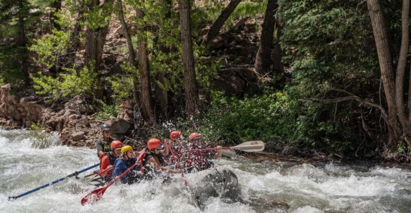 Telluride Morning Half Day Rafting Trip - San Miguel River - An Overview of the Experience