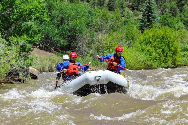 Telluride Morning Half Day Rafting Trip - San Miguel River - Practical Details: Timing, Price, and Logistics