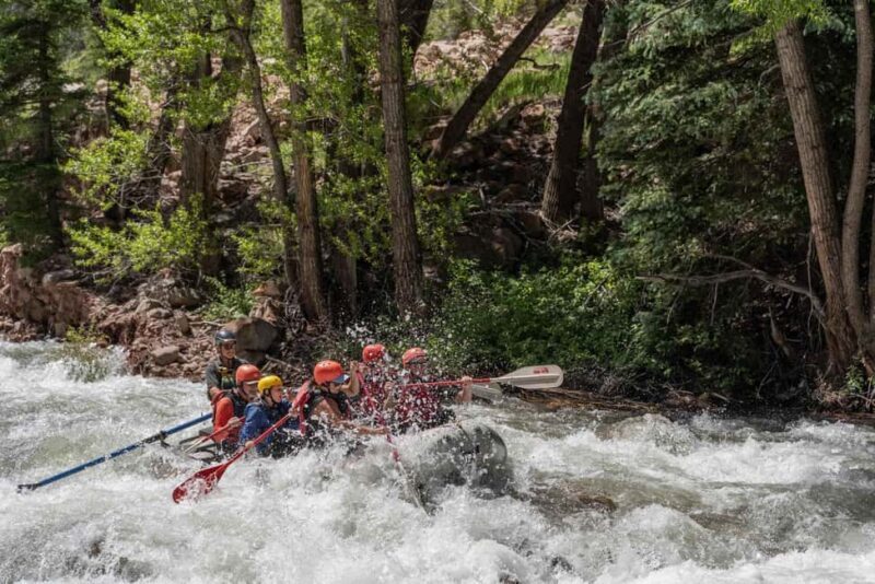 Telluride Morning Half Day Rafting Trip - San Miguel River - Who Should Consider This Tour