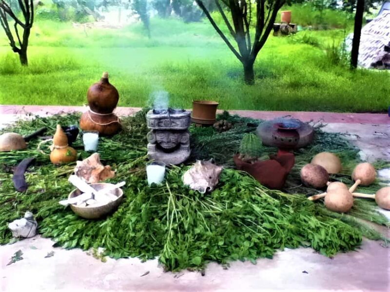 Temazcal Teotihuacan: Experience An Ancient Ceremony - Breakdowns, Details, and Practicalities