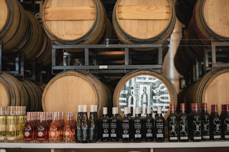 Temecula: Guided Sidecar Wine Tasting Tour - The Ride of a Lifetime in Temecula’s Wine Country