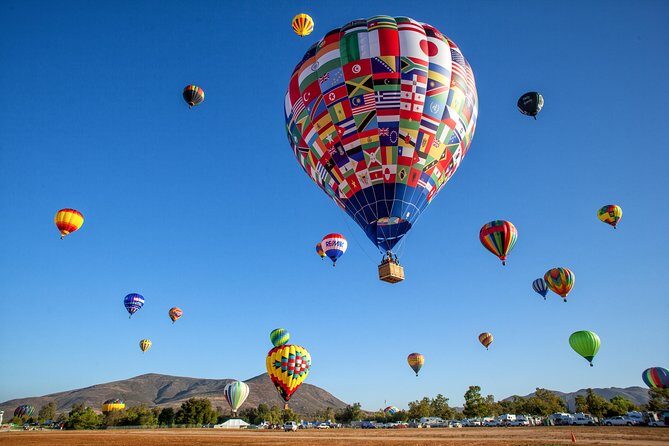 Temecula Shared Hot Air Balloon Ride - An Air-High Perspective on Temecula’s Vineyard Country
