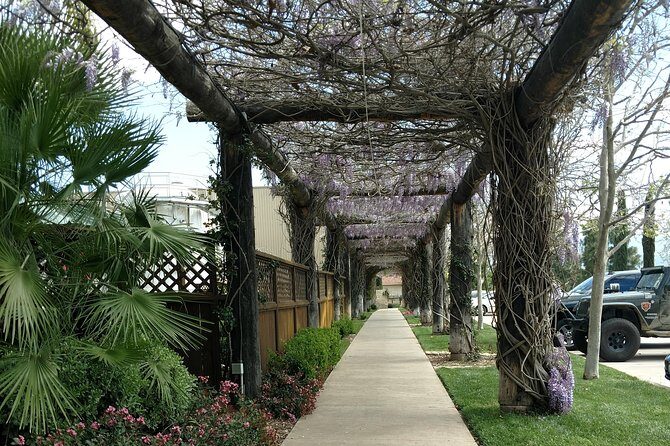 Temecula Valley Wineries and Vineyards Drink and Taste Tour From Orange County - Final Thoughts