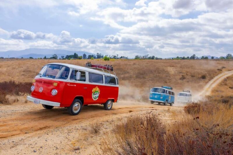 Temecula: VW Bus Wine Tour with Tastings - An Authentic Look at the VW Bus Wine Tour