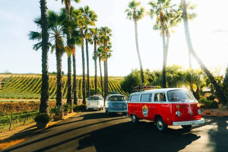 Temecula: VW Bus Wine Tour with Tastings - Final Thoughts