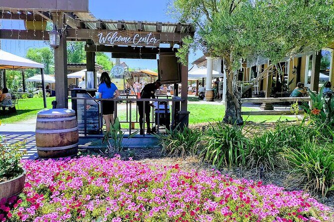 Temecula Wine Tour from Los Angeles - Who Should Consider This Tour?