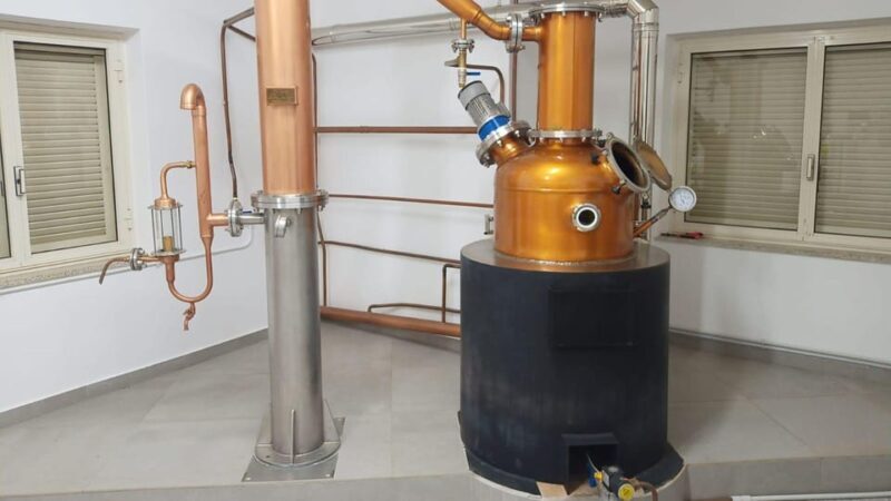 Tempio Pausania: Visit a Distillates Workshop with Tasting - Key Points