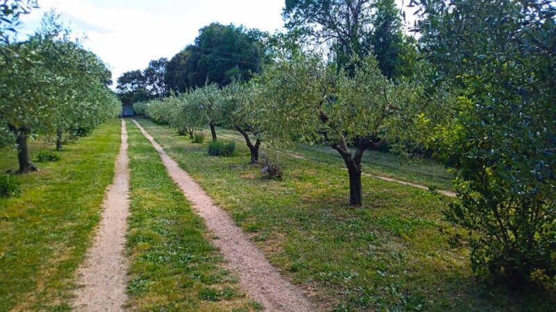 Tempio Pausania: Visit a Distillates Workshop with Tasting - FAQ