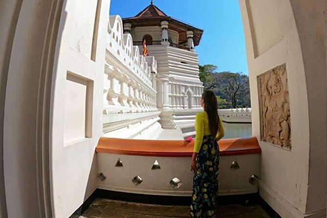 Temple of the Tooth & Royal Botanical Gardens Tour - An In-Depth Look at the Itinerary