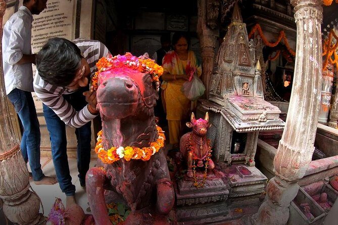 Temple Tours - Transport, Timing, and Group Size