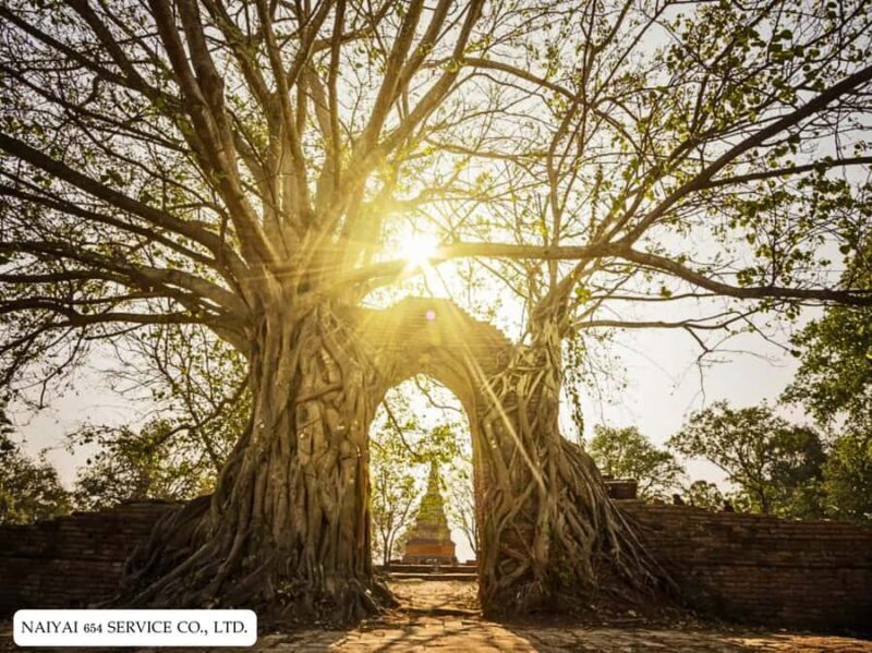 Temple Visits in Ayutthaya and a Walk Through History. - Key Points