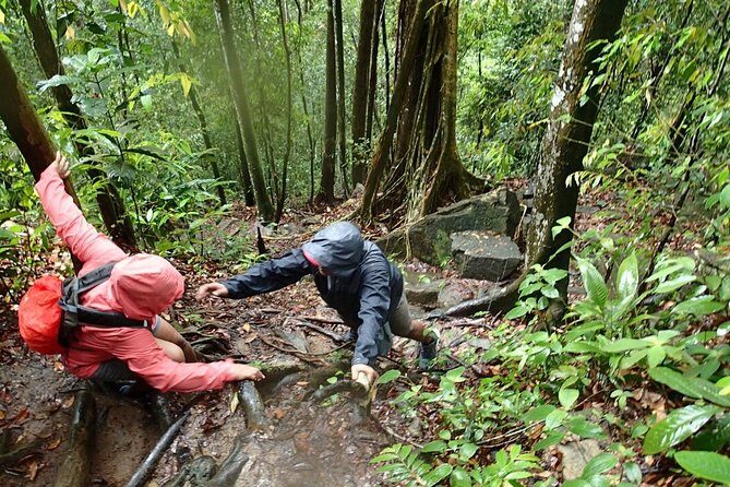 Templer Park and Kanching Waterfall Tour with Batu Caves Stopover - Who Should Book This Tour?