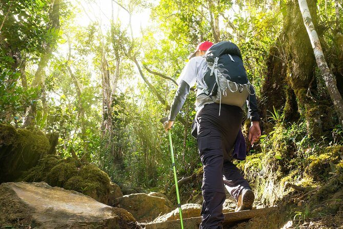 Templer Park and Kanching Waterfall Tour with Batu Caves Stopover - The Sum Up