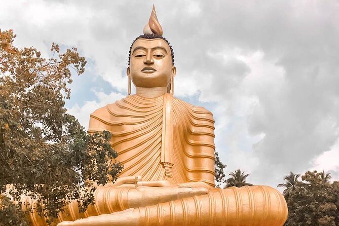 Temples and Wilderness from Negombo (2 Days) - Key Points