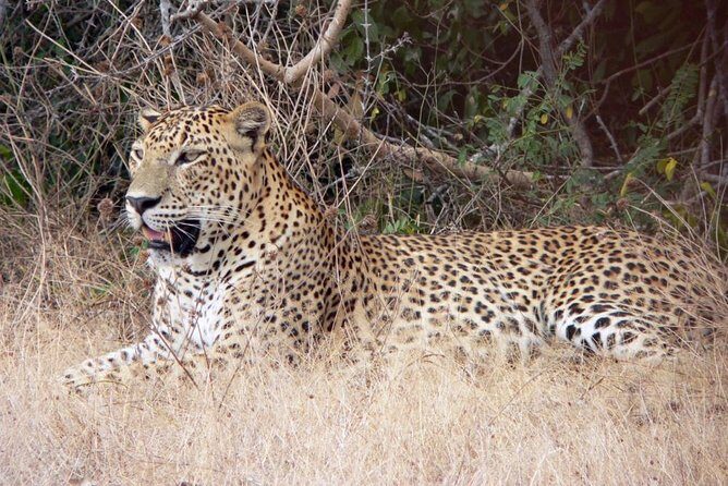 Temples and Wilderness from Negombo (2 Days) - The Itinerary in Detail