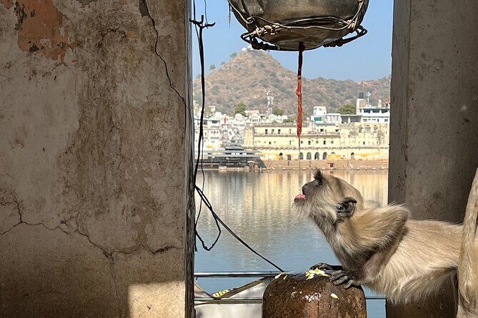 Temples Walk around 52 Ghats ( Spiritual Tour )-The Pushkar Route - Who Will Love This Tour?
