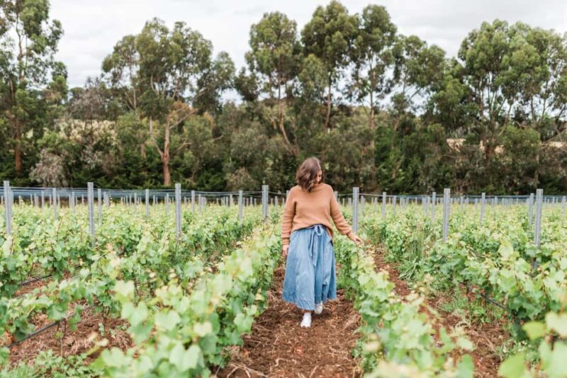 Ten Minutes by Tractor: Fine Wine & Gastronomy Experience - Starting Point: The Cellar Door