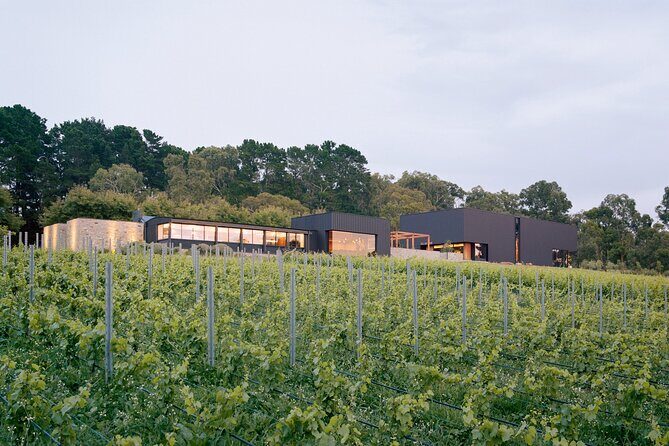 Ten Minutes by Tractor Terroir Masterclass - Price and Value: Does This Experience Worth It?