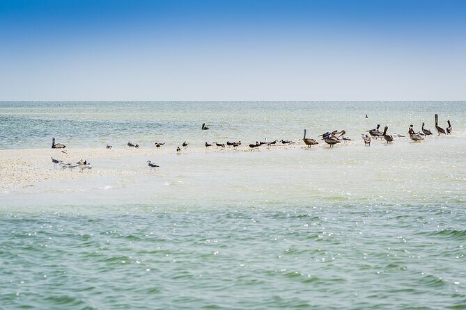 Ten Thousand Island Jet Ski Eco Tour - Marco Island - Value and Practical Considerations
