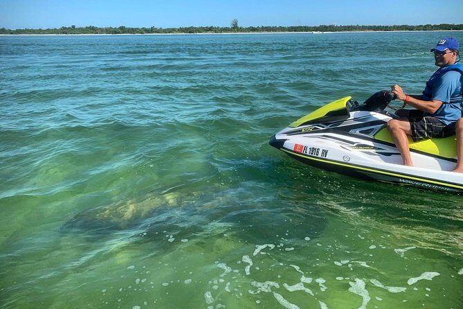 Ten Thousand Island Jet Ski Eco Tour - Marco Island - Why This Tour Could Be Perfect for You