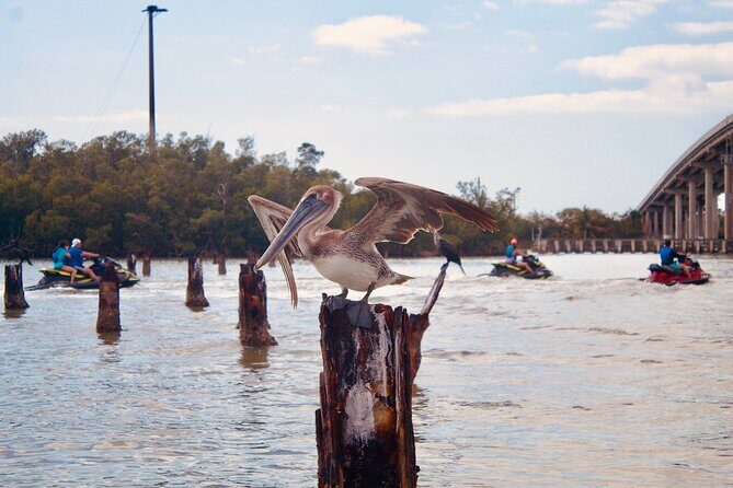 Ten Thousand Island Jet Ski Eco Tour - Marco Island - Final Thoughts: Is It Worth It?
