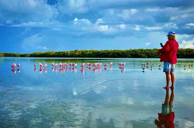 Ten Thousand Islands Eco/Dolphin Tour - FAQ