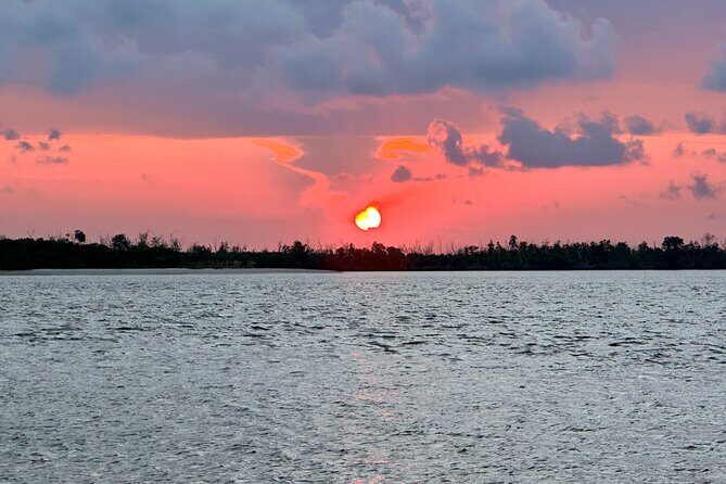 Ten Thousand Islands Sunset, Beach and Eco Tour - An In-Depth Look at the Experience