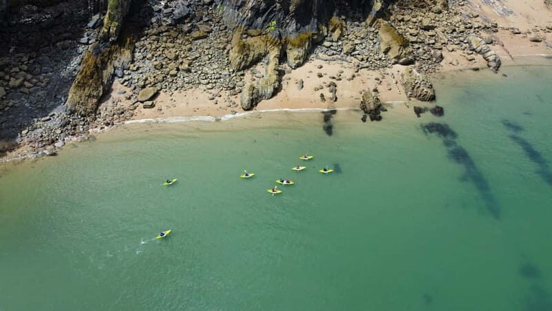 Tenby: Guided Kayaking Adventure - What Is the Tenby Guided Kayaking Adventure?