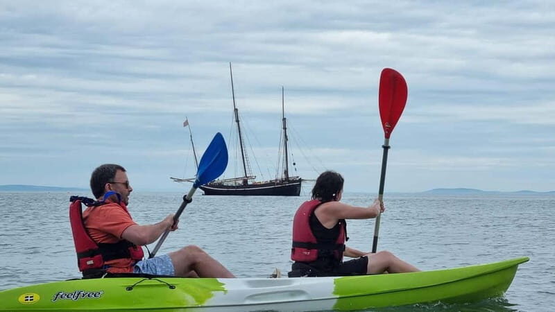 Tenby: Guided Kayaking Adventure - Who Should Book This Tour?
