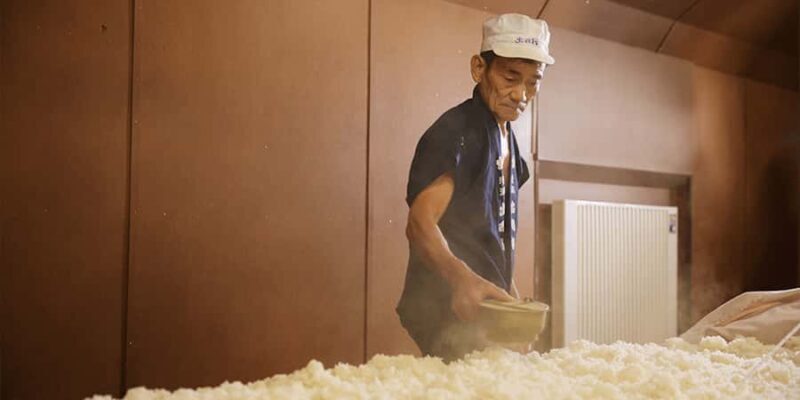 Tendo City: Dewazakura Sake Brewery Tour and Tasting - The Practical Experience