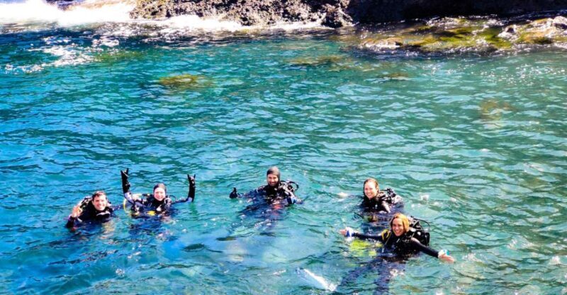 Tenerife: 2-Dive Private Scuba Discovery Course - Key Points