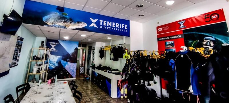 Tenerife: 2-Dive Private Scuba Discovery Course - Exploring Tenerife’s Underwater World