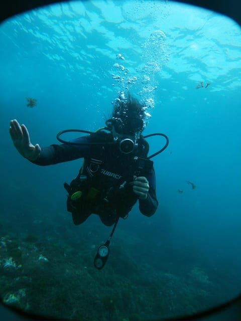 Tenerife - 2 Guided Dives for Certified Divers - Half Day - An Authentic Dive Experience on Tenerife