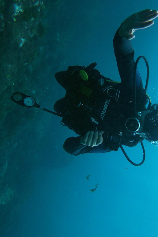 Tenerife - 2 Guided Dives for Certified Divers - Half Day - Practical Details and Considerations