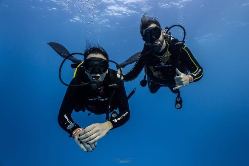 Tenerife - 2 Guided Dives for Certified Divers - Half Day - Who This Tour Is Best For