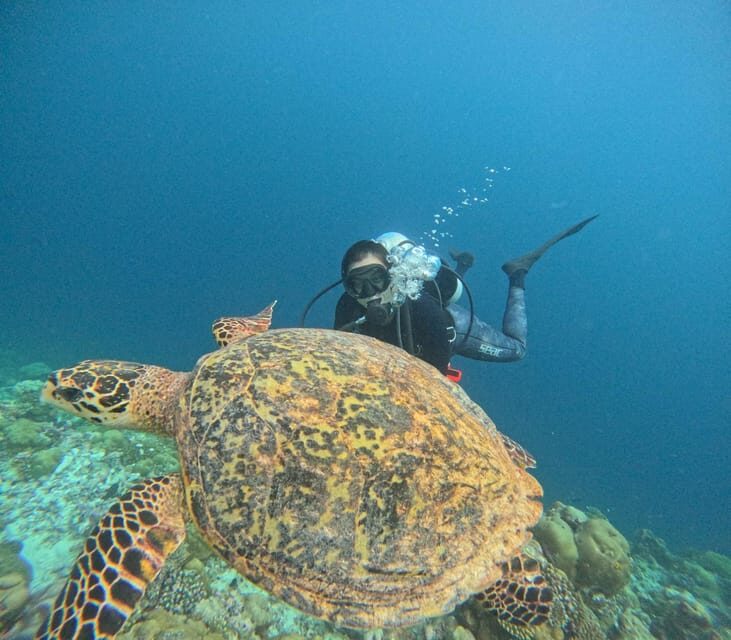 Tenerife - 2 Guided Dives for Certified Divers - Half Day - FAQ