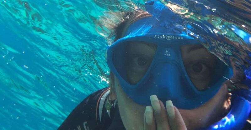 Tenerife: Alcalá Guided Snorkeling Tour - An Authentic View of the Tour