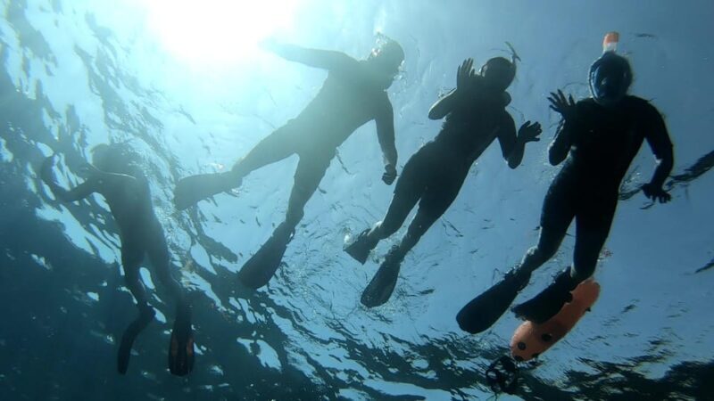 Tenerife: Alcalá Guided Snorkeling Tour - Who Should Consider This Tour?