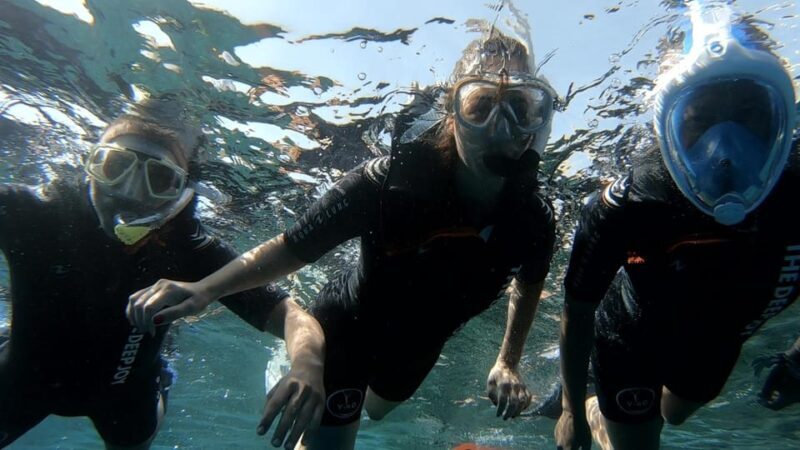 Tenerife: Alcalá Guided Snorkeling Tour - Why We Love This Tour