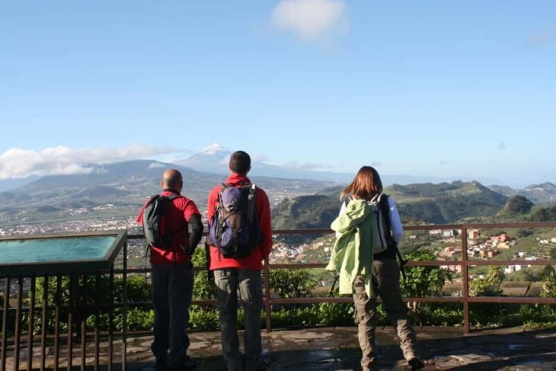 Tenerife: Anaga and La Laguna VIP Tour - Exploring Tenerife in Style: An In-Depth Look