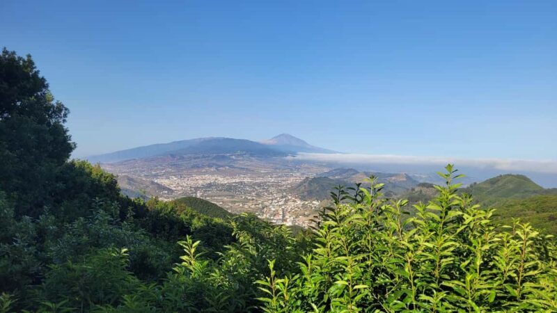 Tenerife Anaga Mountains: Circular hike in the laurel forest  small group max. 10 - The Itinerary: A Roadmap Through Beauty and Culture