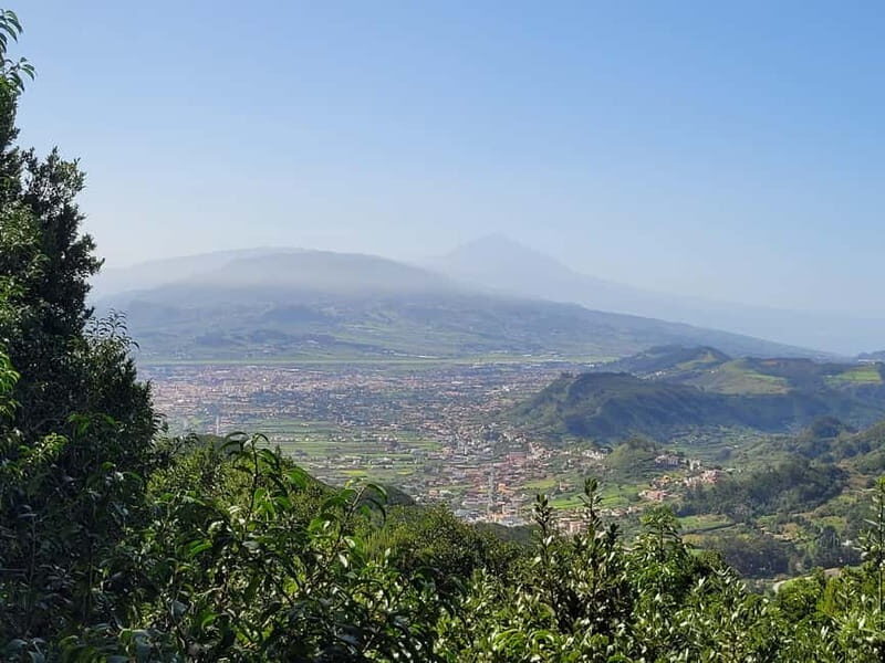 Tenerife Anaga Mountains: Circular hike in the laurel forest - Key Points